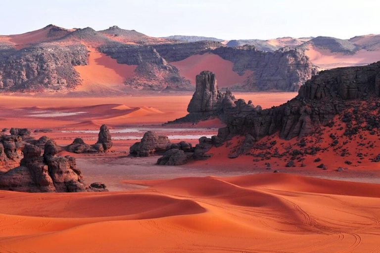 Blida — L’Oasis des Portes de l’Atlas - Guide Algérie