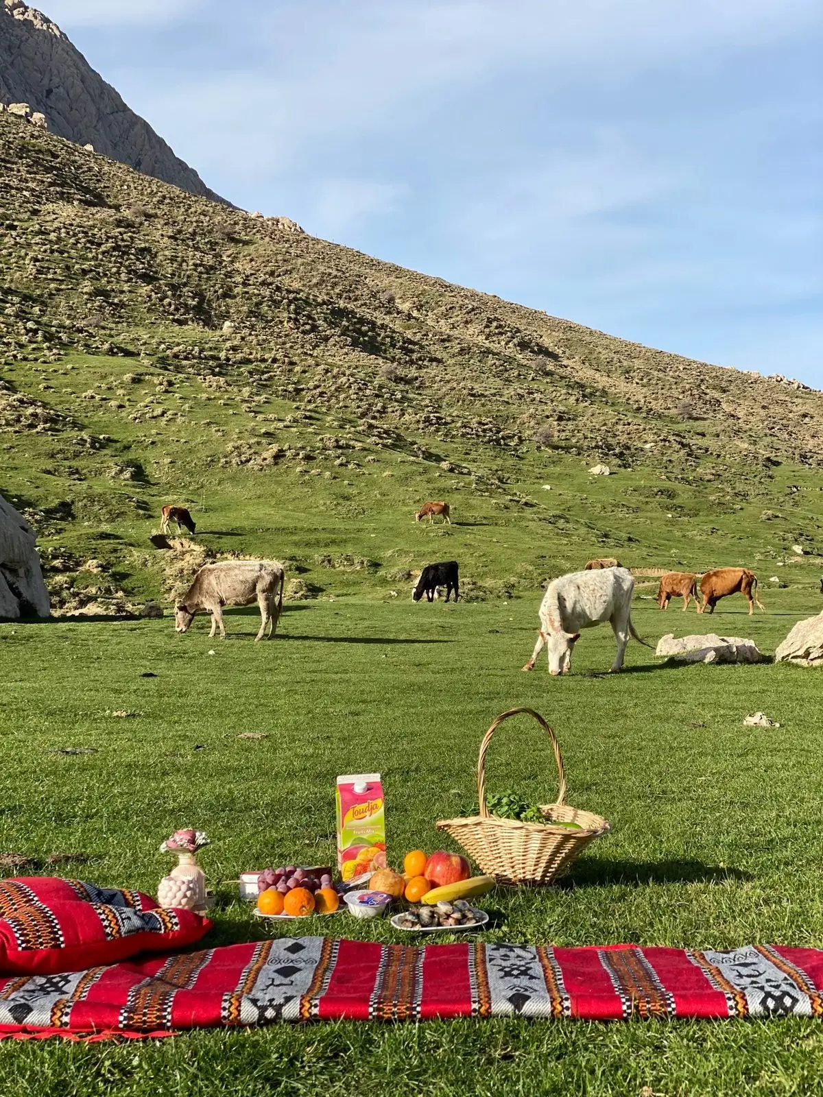 Bouira - Between the Kabyles Mountains and unspoilt nature - Guide Algérie